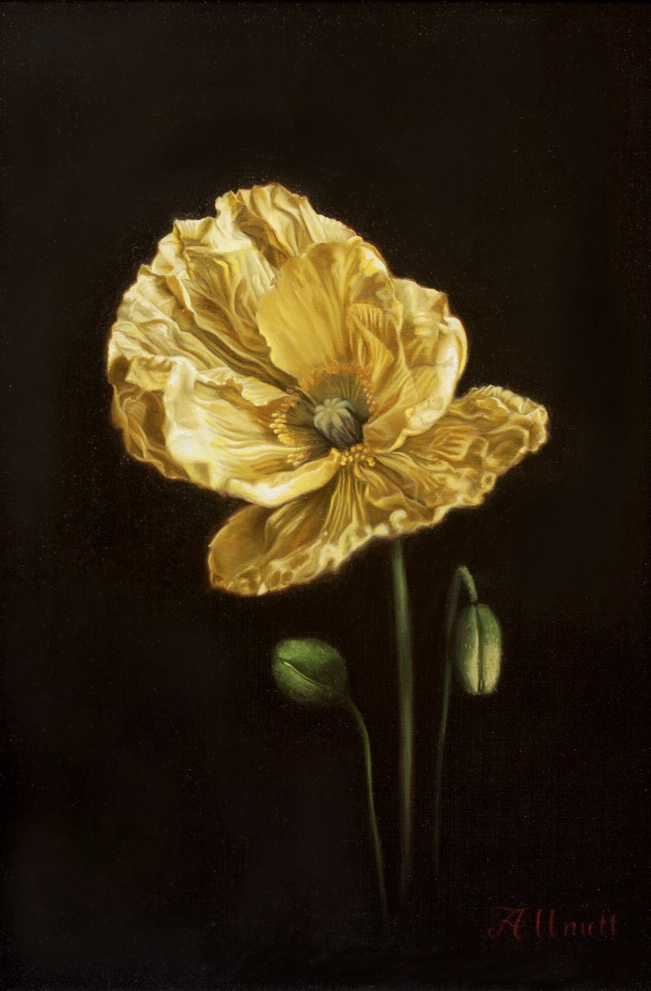 Lethbridge Gallery